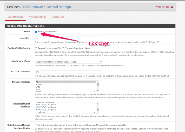 Hướng dẫn cấu hình DNS Resolver để sử dụng tên miền trong mạng LAN ...